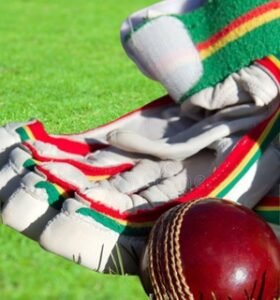 250+ Cricket DP, Photo, Images, Wallpaper – [HD 2025] - Sports DP